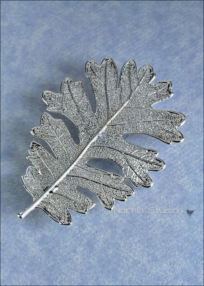 BIRCH ~ Nature Preserved Leaves — Narnia Studios — American Made ...