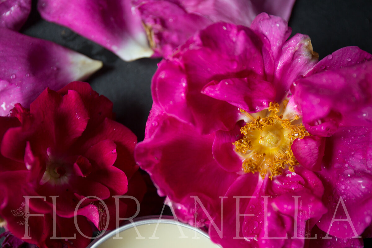 How to Make a Skin Cream with Roses — Floranella