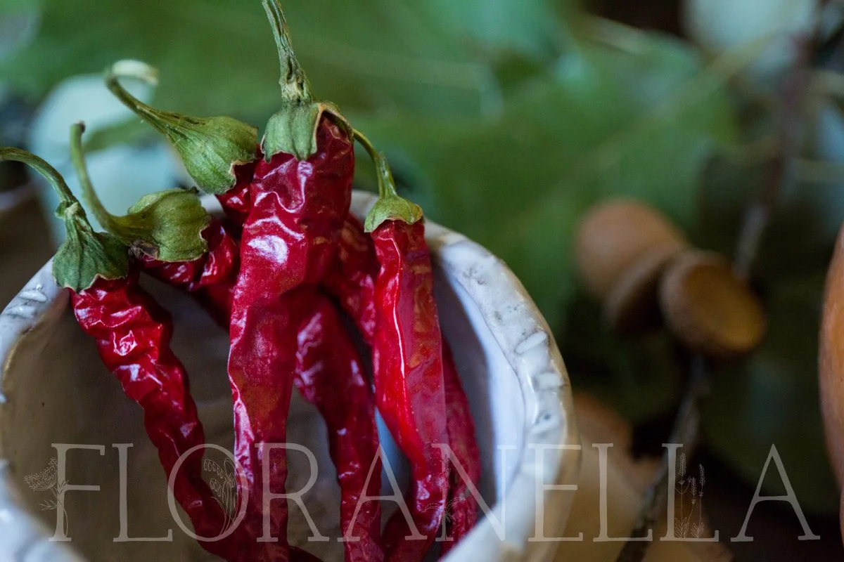 How to Grow Cayenne — Floranella