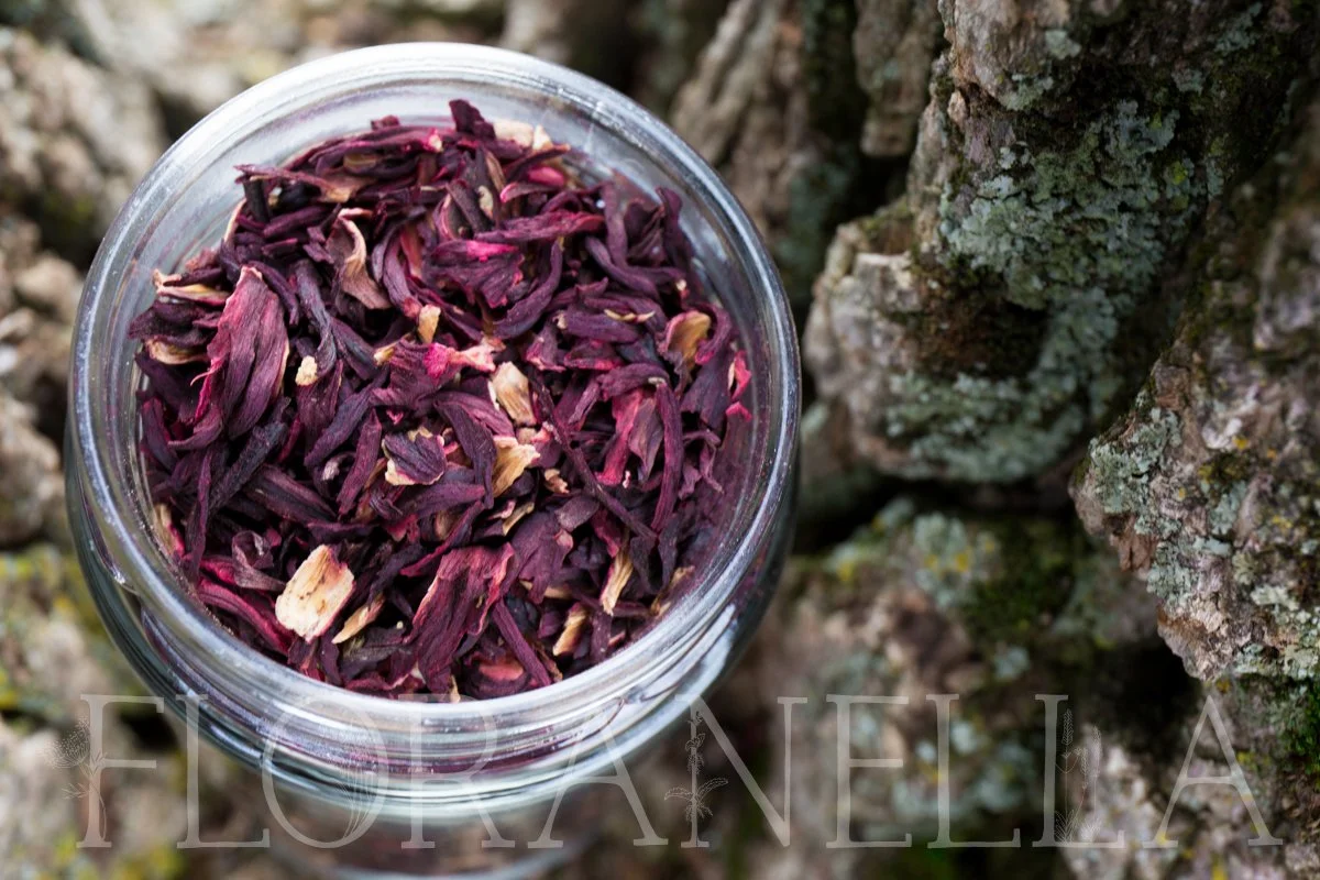 Therapeutic Benefits of Hibiscus Sabdariffa (Roselle) — Floranella