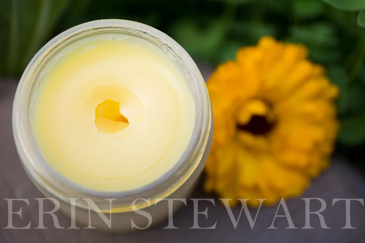 DIY Paw Salve Recipe for Dogs - Herbal Remedy — Floranella