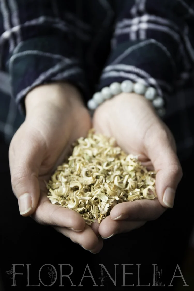 How to Grow Calendula, Harvest, Dry, Use It, and Save Its Seeds ...
