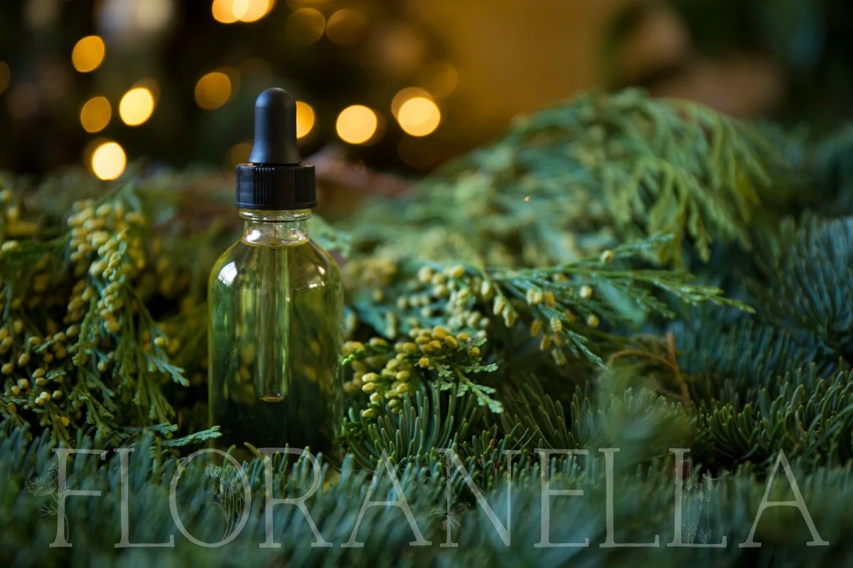 How to Make Fir Needle Back Massage Serum — Floranella
