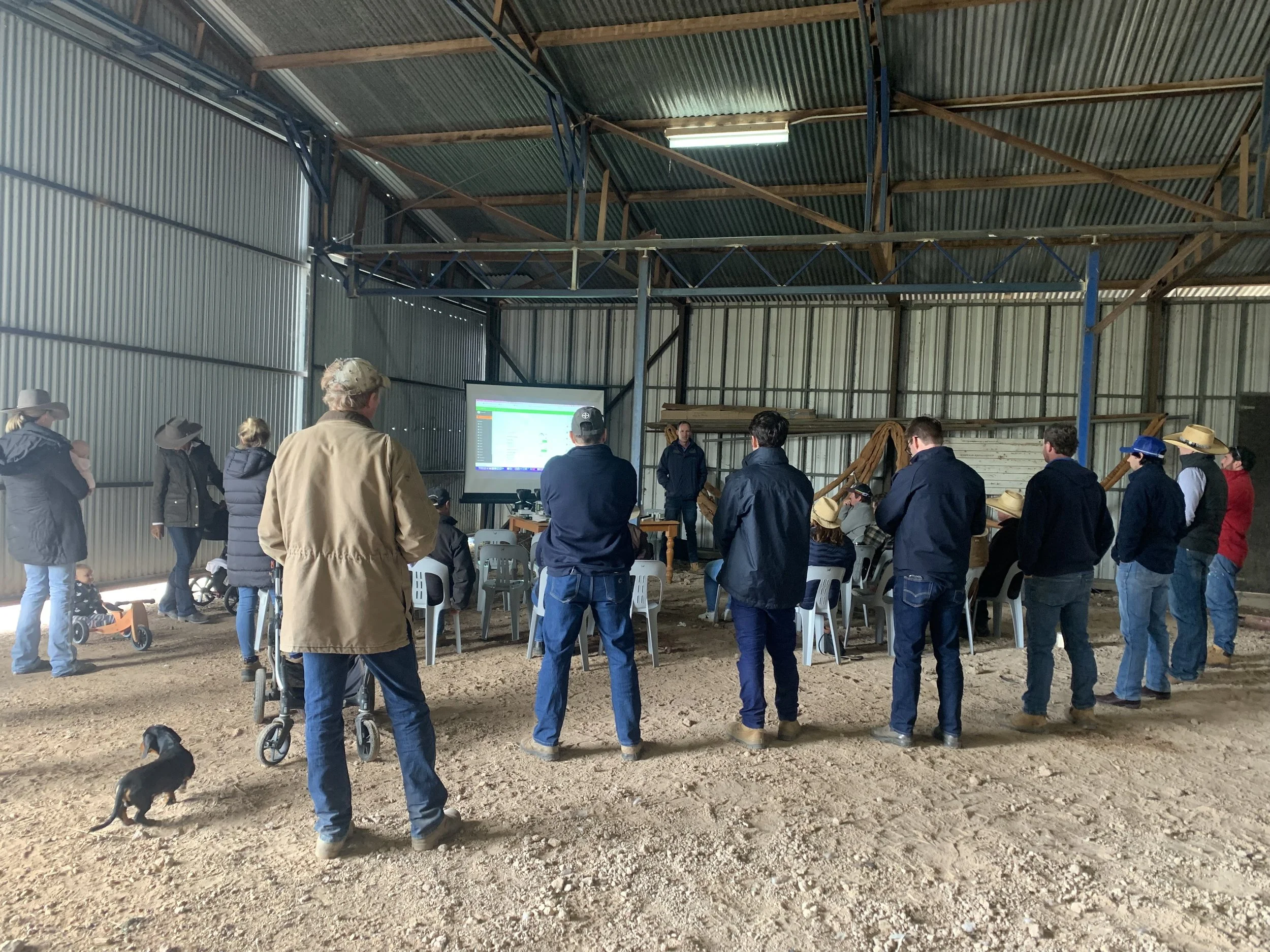 LoRaWAN technology expands in Goondi region — Macintyre Ag Alliance