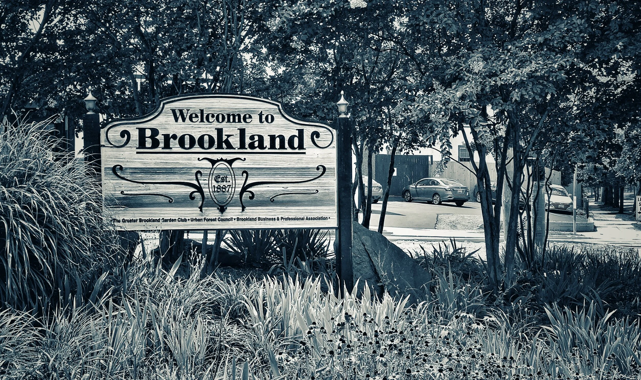 The Village of Brookland