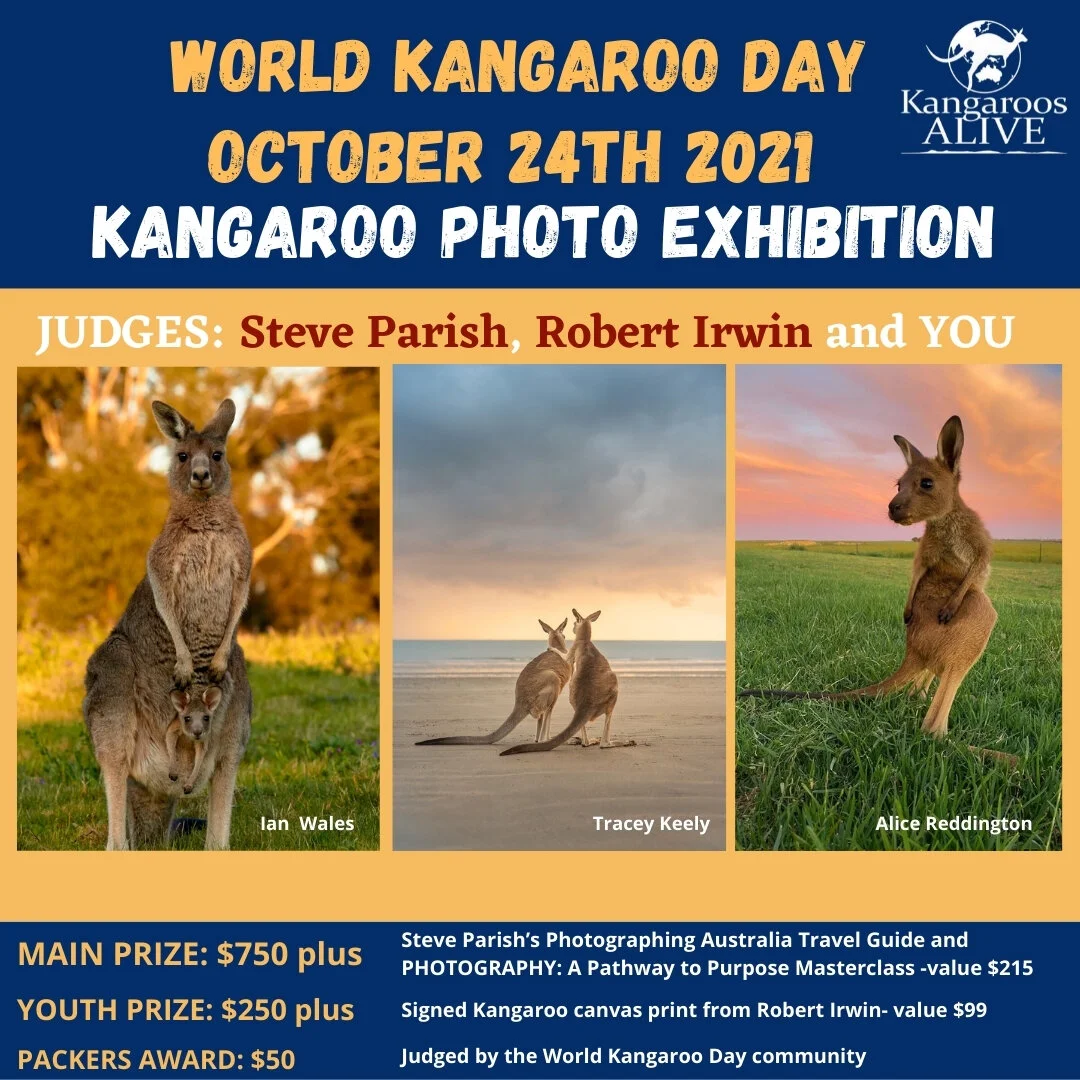 home — WORLD KANGAROO DAY - October 24