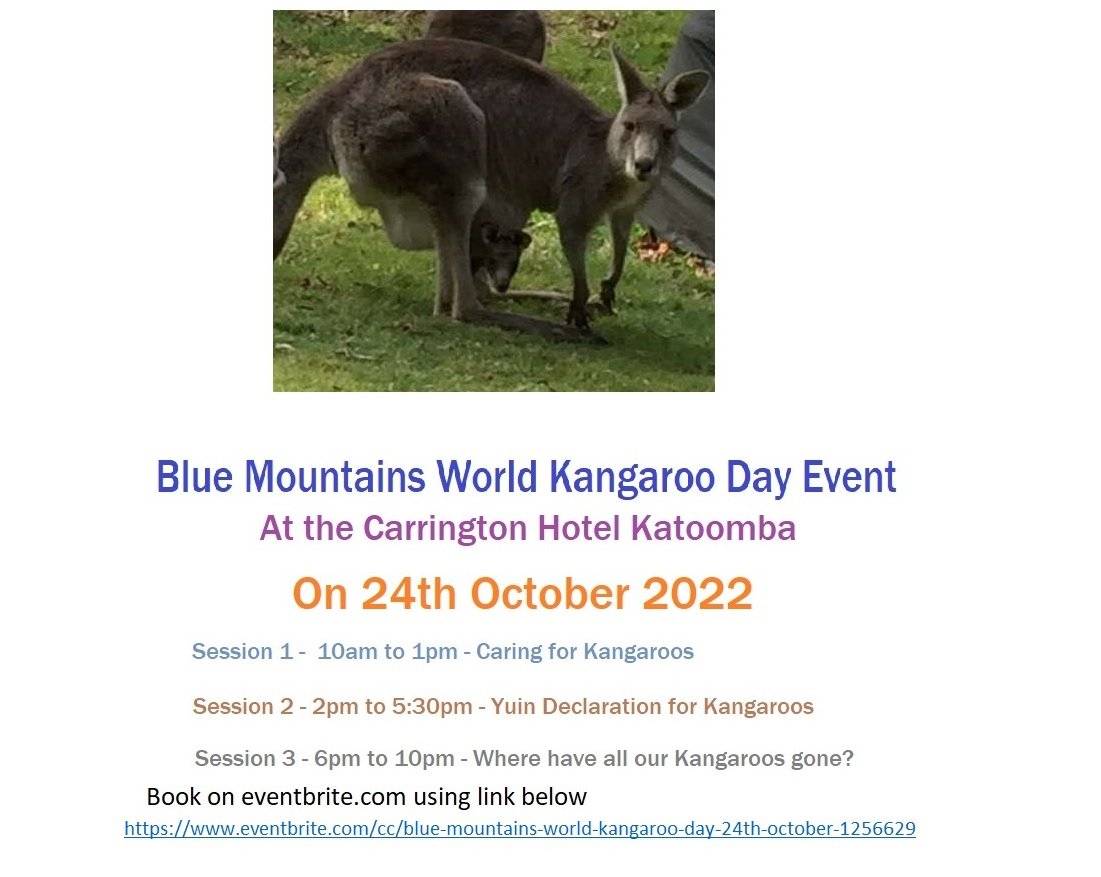 Events — WORLD KANGAROO DAY - October 24