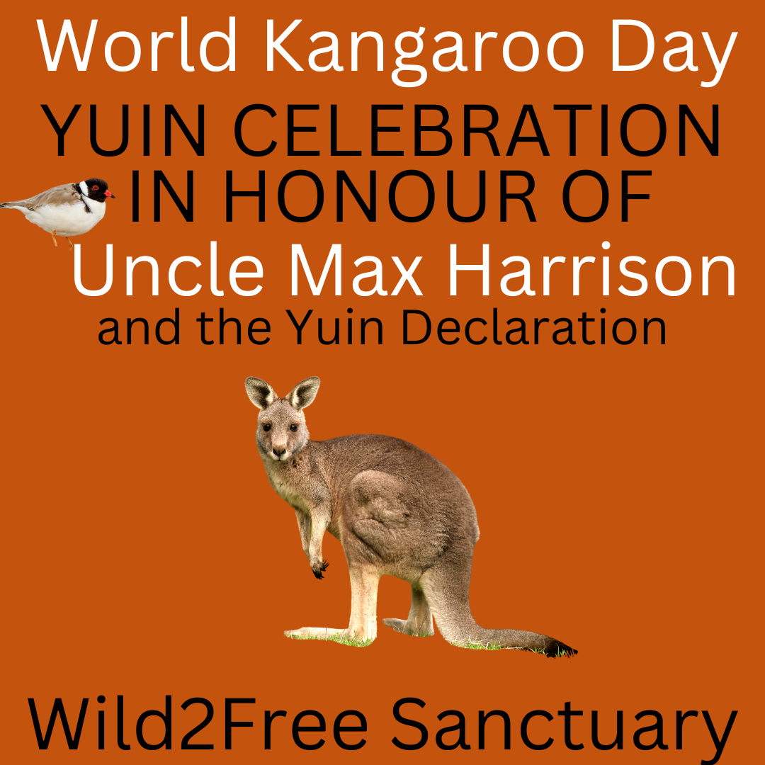 Events — WORLD KANGAROO DAY - October 24