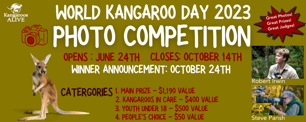 WORLD KANGAROO DAY - October 24