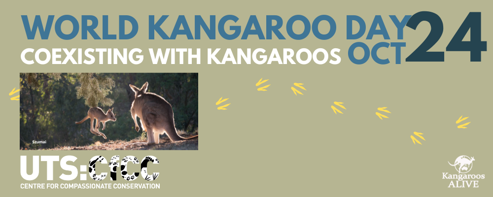 WORLD KANGAROO DAY - October 24