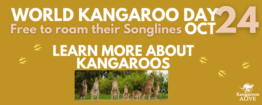 WORLD KANGAROO DAY - October 24