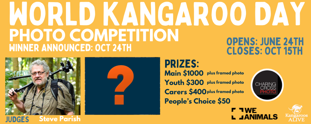 WORLD KANGAROO DAY - October 24