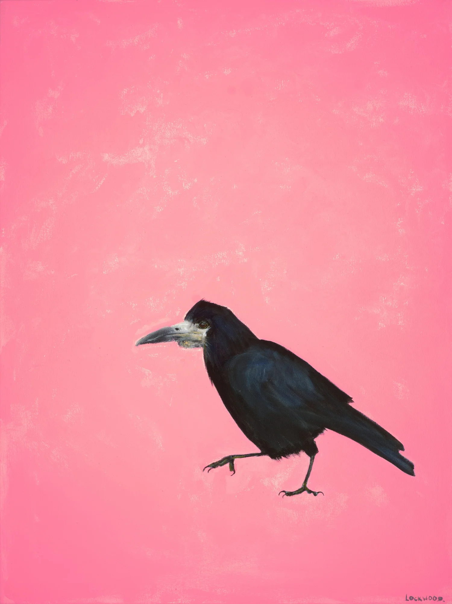 Original contemporary bird paintings — anna lockwood art