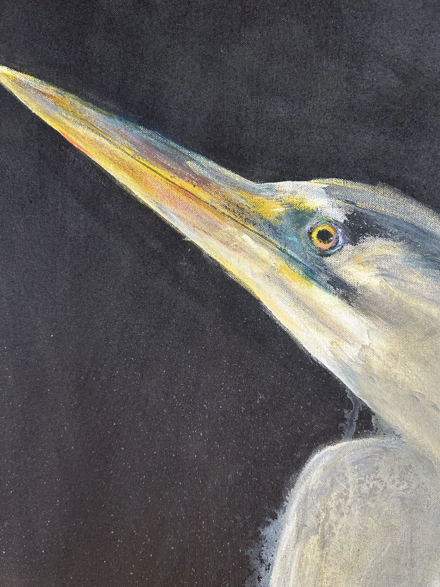 Original contemporary bird paintings — anna lockwood art