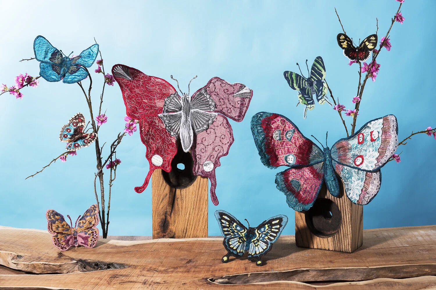 Shop — Emma Whitehead Art