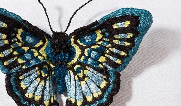 Shop — Emma Whitehead Art