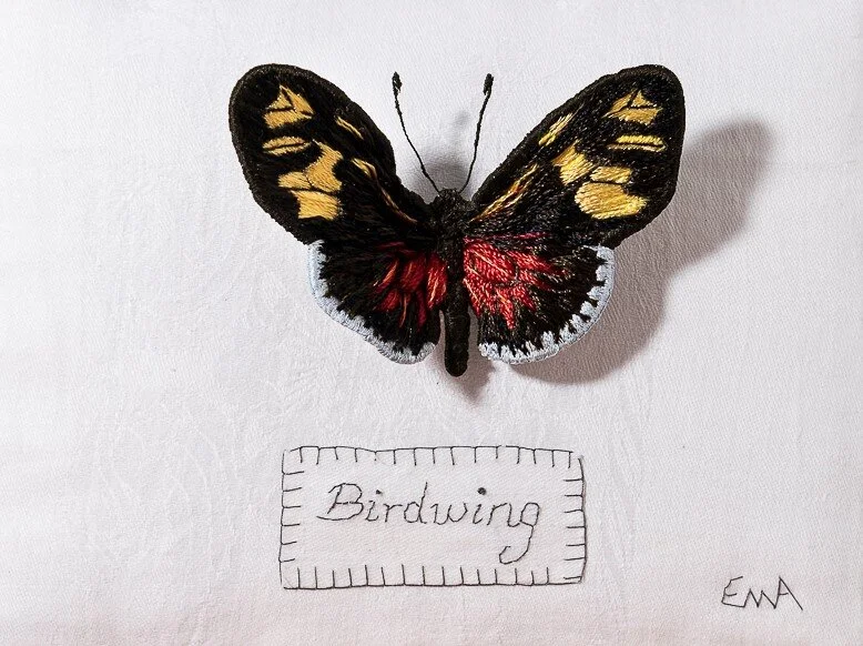 Shop — Emma Whitehead Art