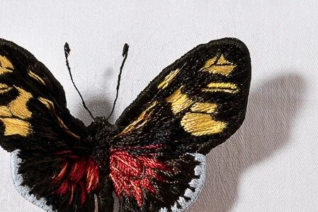 Shop — Emma Whitehead Art