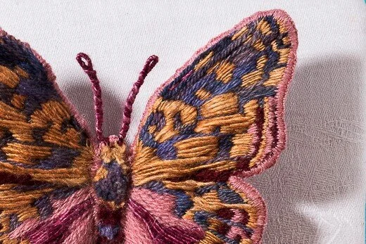 Shop — Emma Whitehead Art