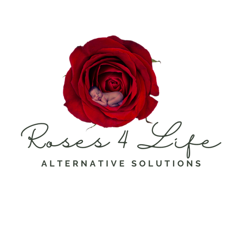 twogirlsandabible.org