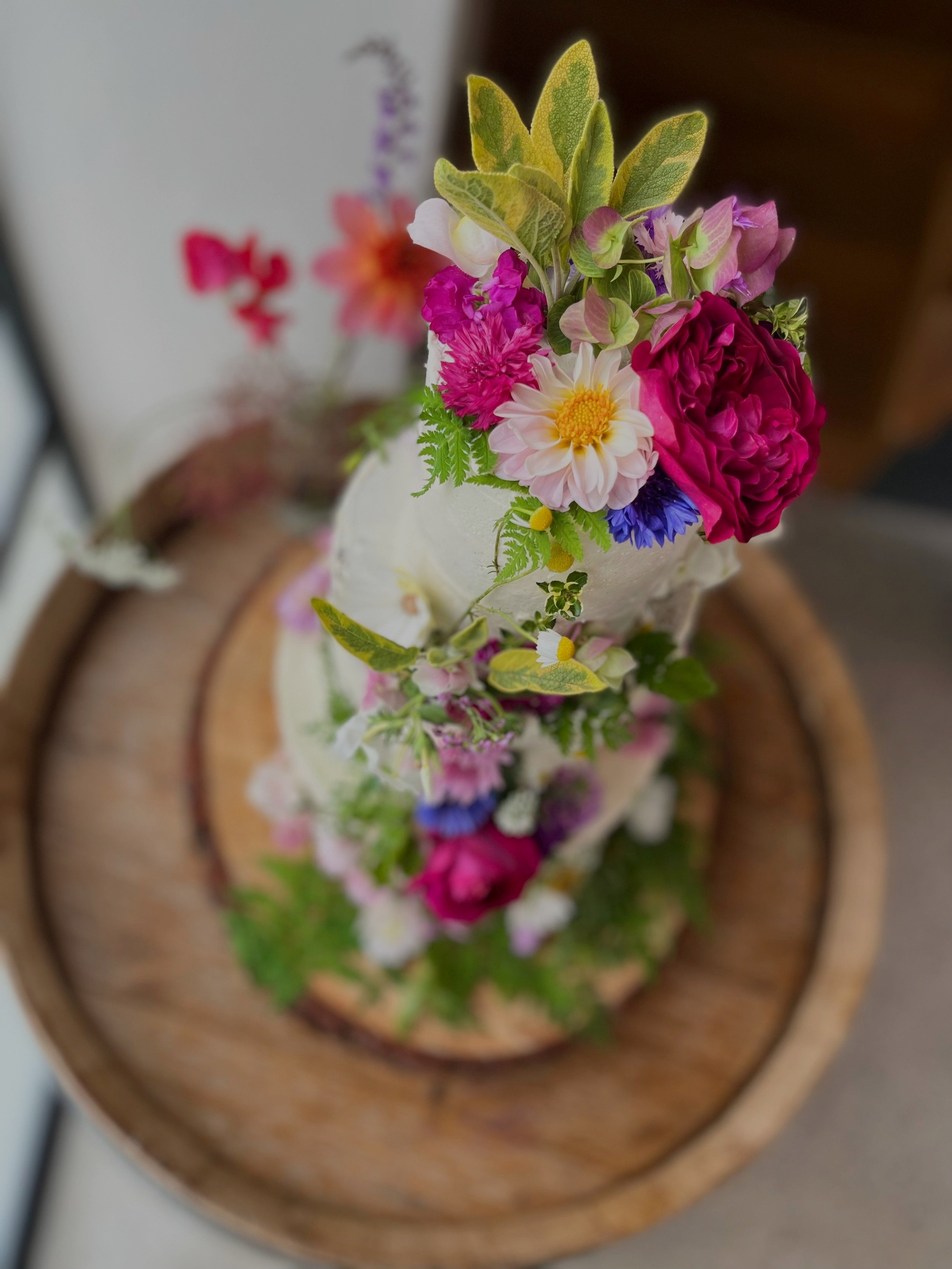 Contact — Boho Cakes