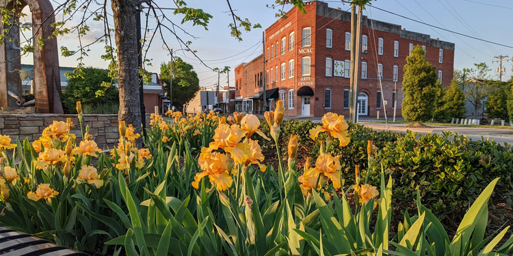 Williamston Downtown