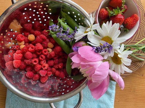 Green Thumb Health Nutrition