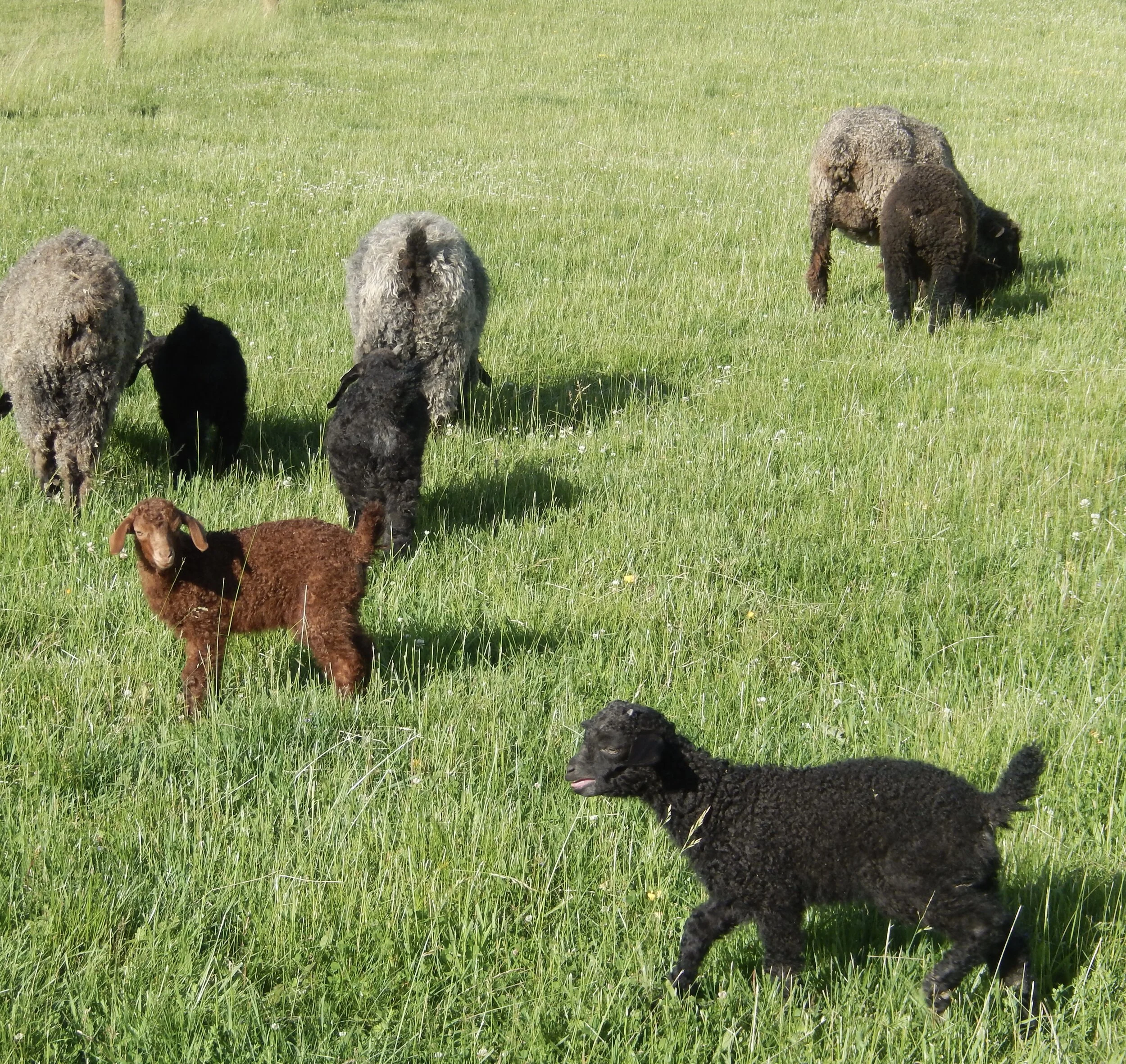 About — Underhill Farm