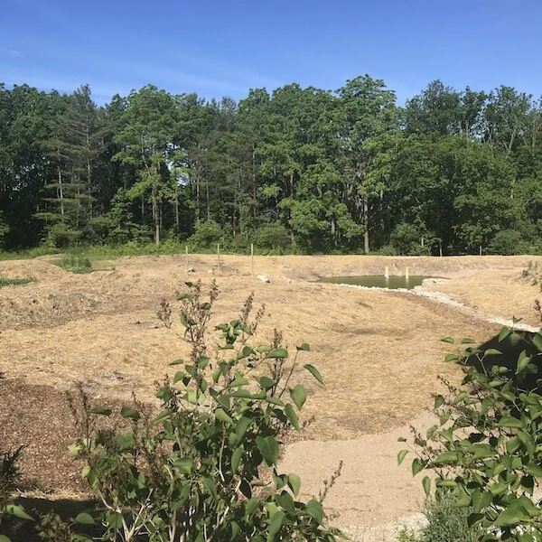 Three Ridges Ecological Farm