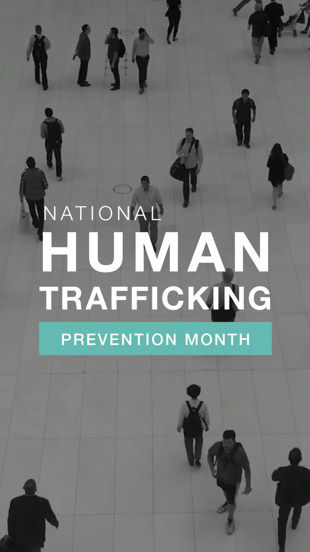 Local Chapters — Elevate Academy