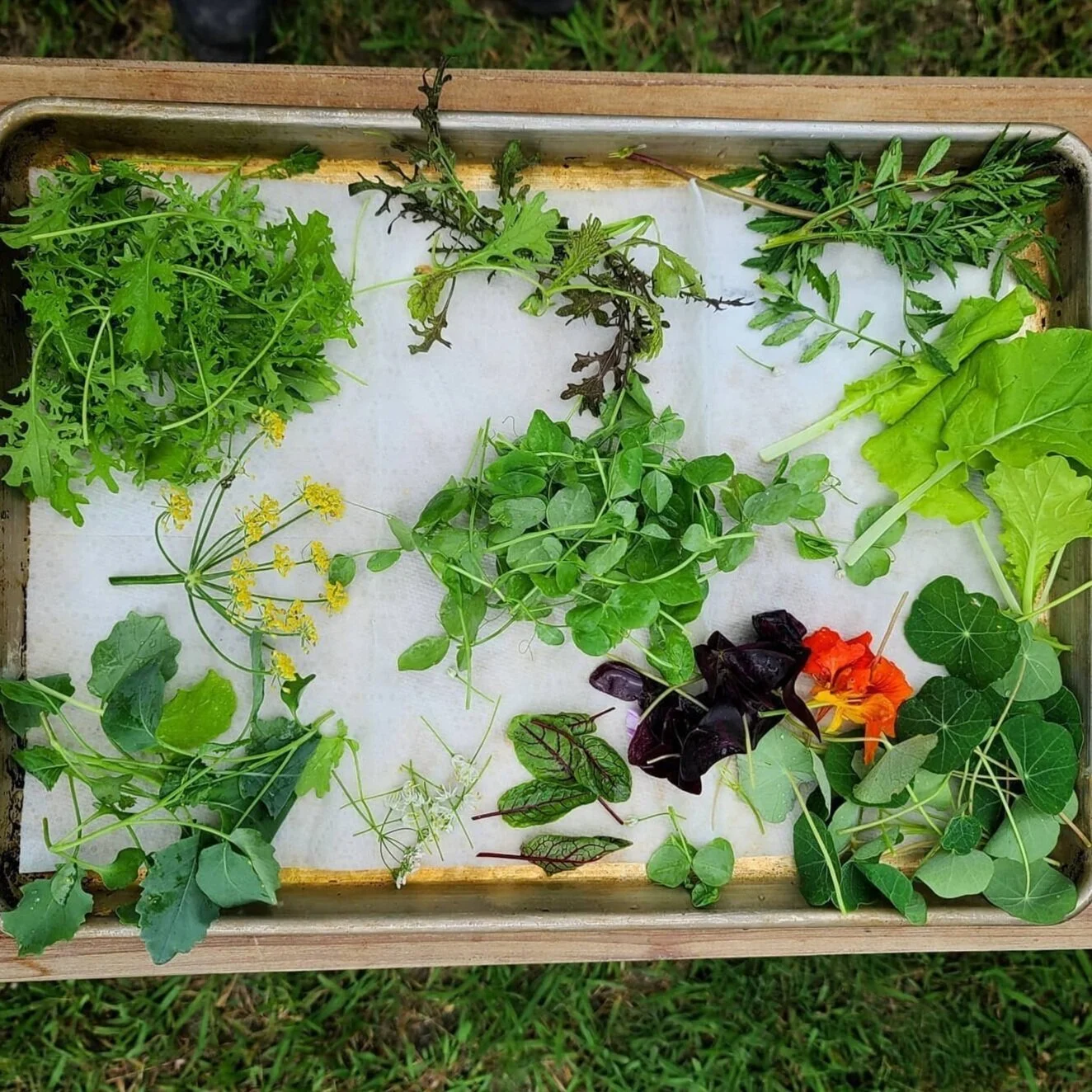 local food deilvered — PROFOUND FOODS