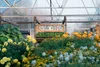 Profound Microfarms — PROFOUND FOODS