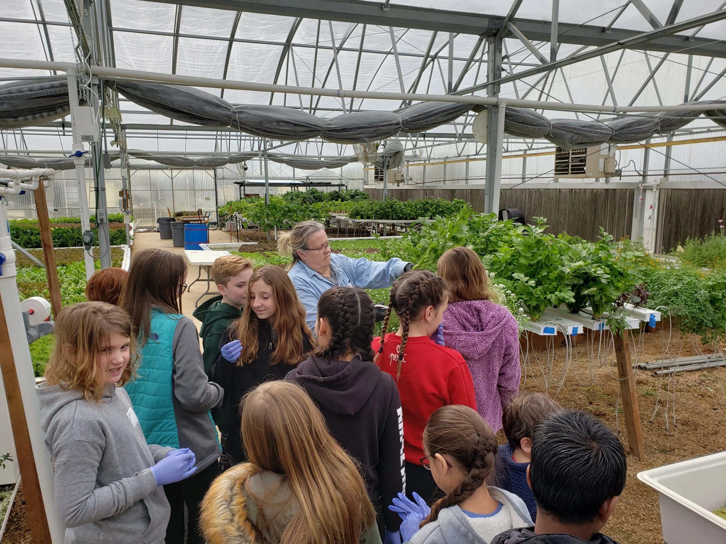 Profound Microfarms — PROFOUND FOODS