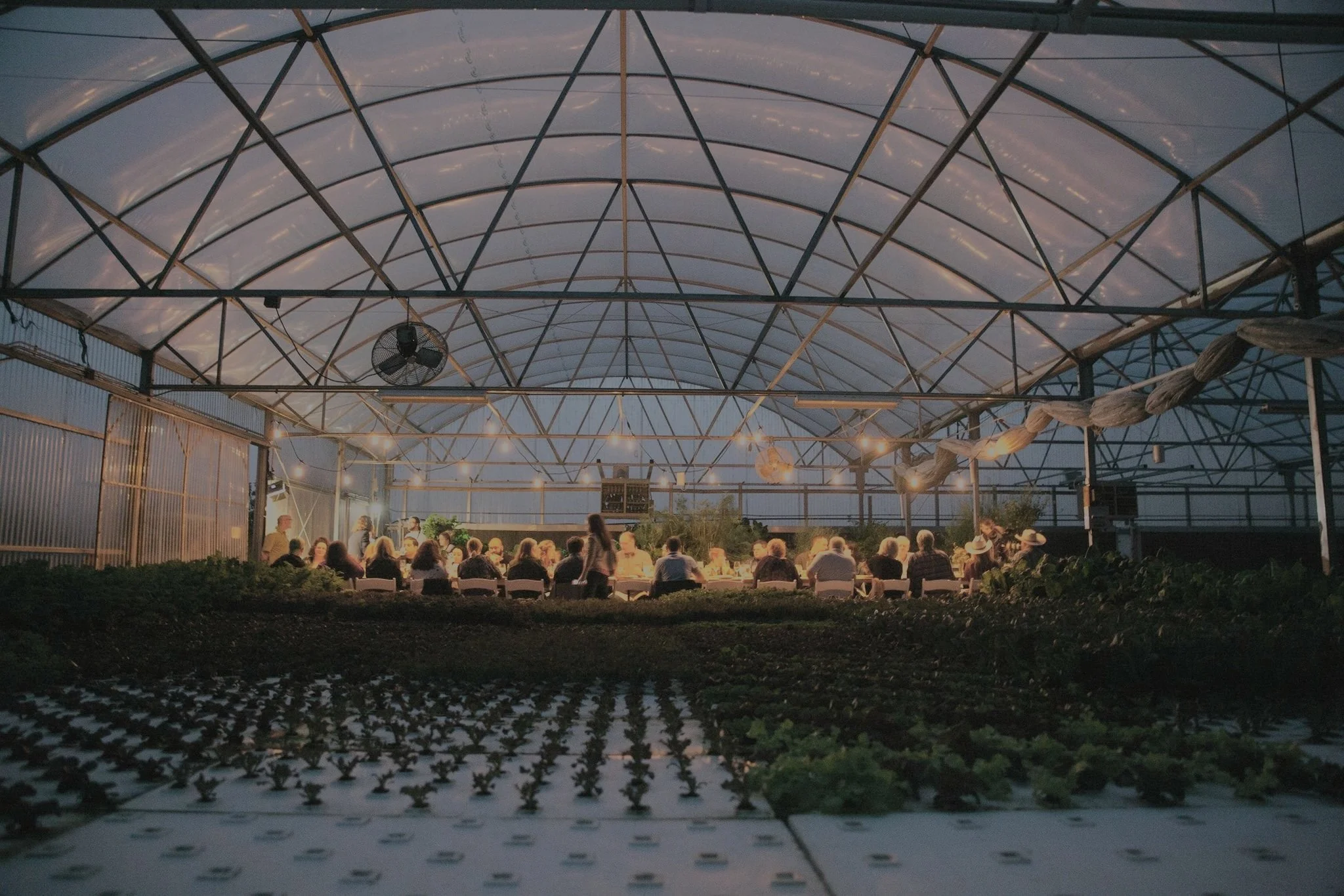 Profound Microfarms — PROFOUND FOODS