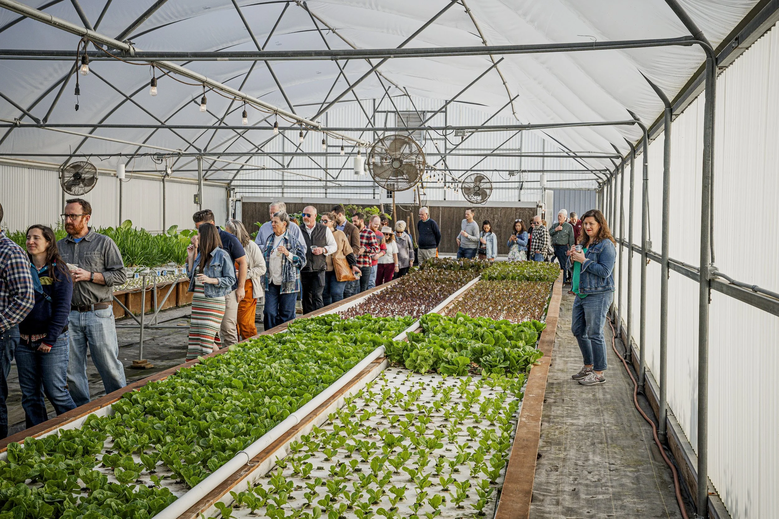 Profound Microfarms — PROFOUND FOODS