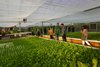 Profound Microfarms — PROFOUND FOODS