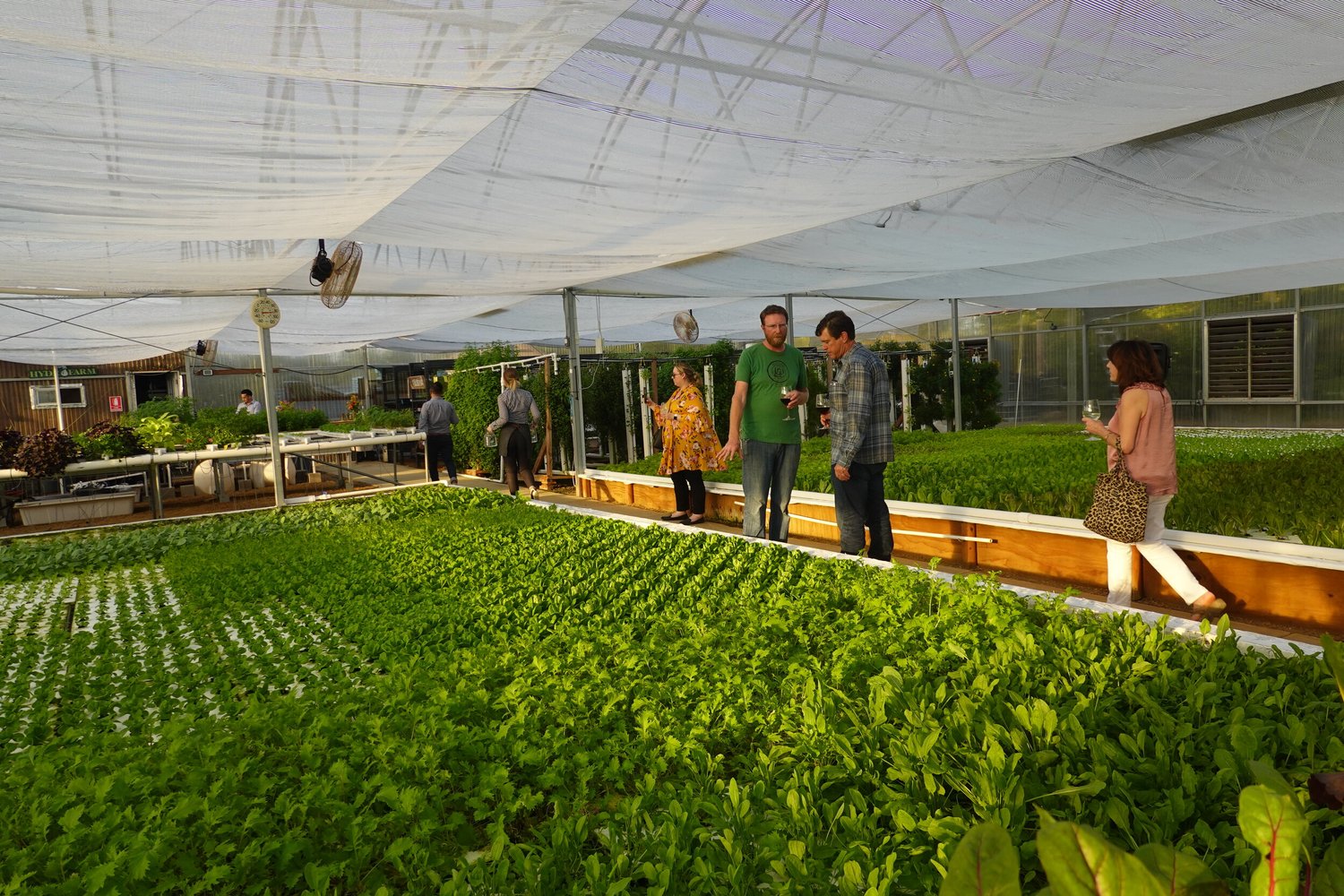 Profound Microfarms — PROFOUND FOODS