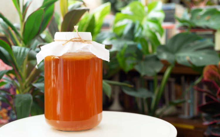 How to make kombucha at home - step by step instructions from Claire ...