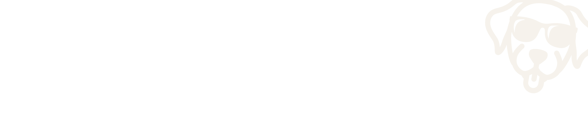 Vicki's Little Rascals - Doggy Day Care