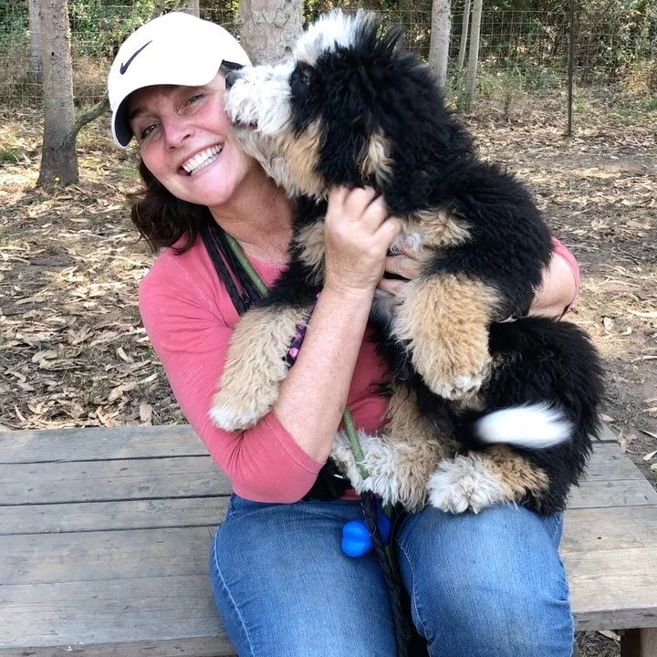 Vicki's Little Rascals - Doggy Day Care