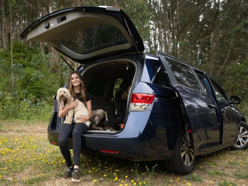 Vicki's Little Rascals - Doggy Day Care