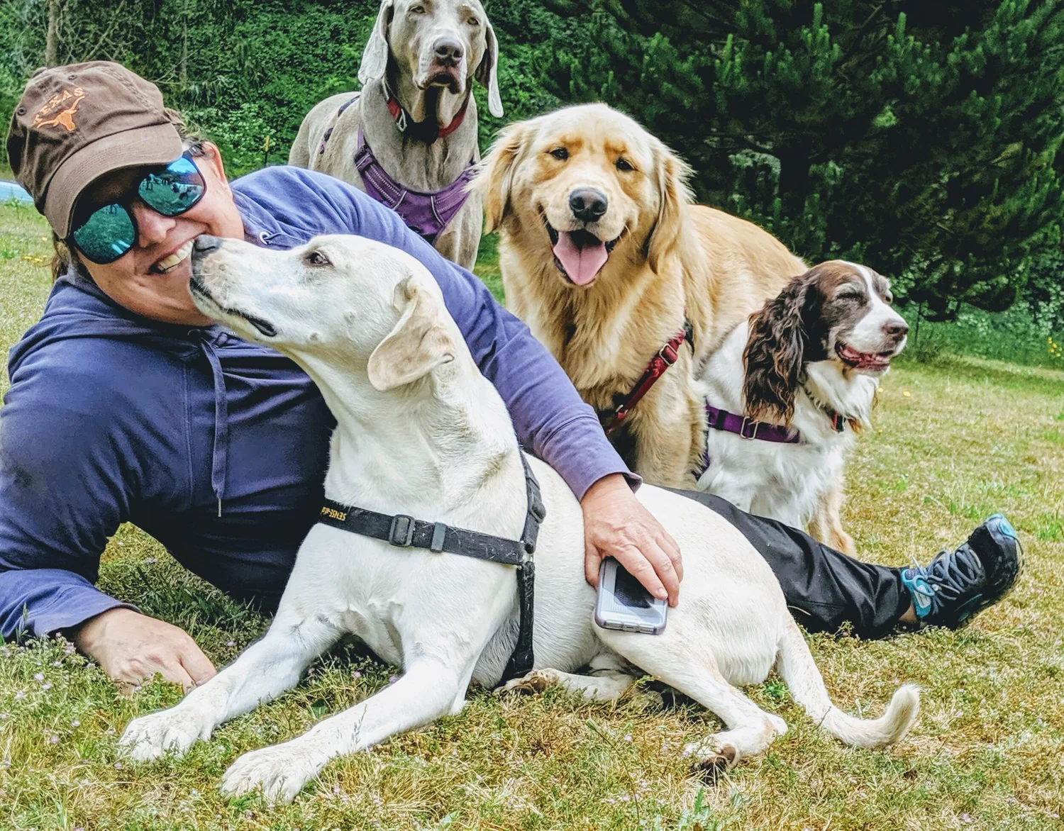 Our Team of Professional Pet Lovers — Vicki's Little Rascals - Doggy ...