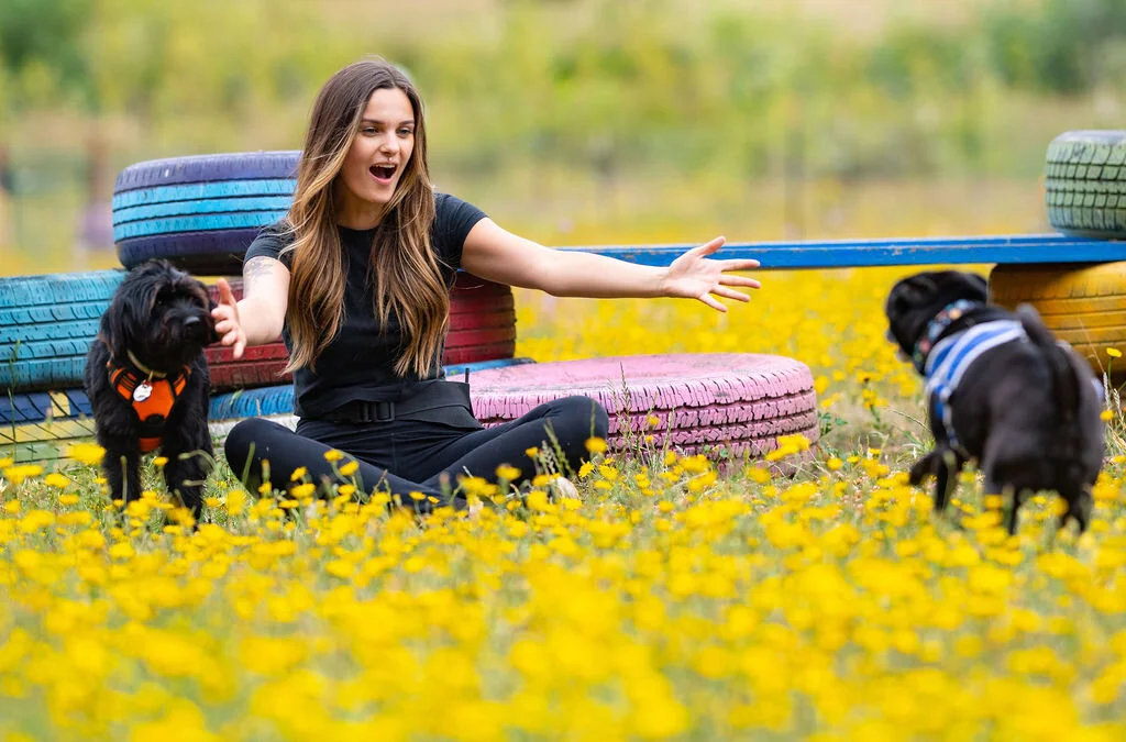 Join Our Team — Vicki's Little Rascals - Doggy Day Care