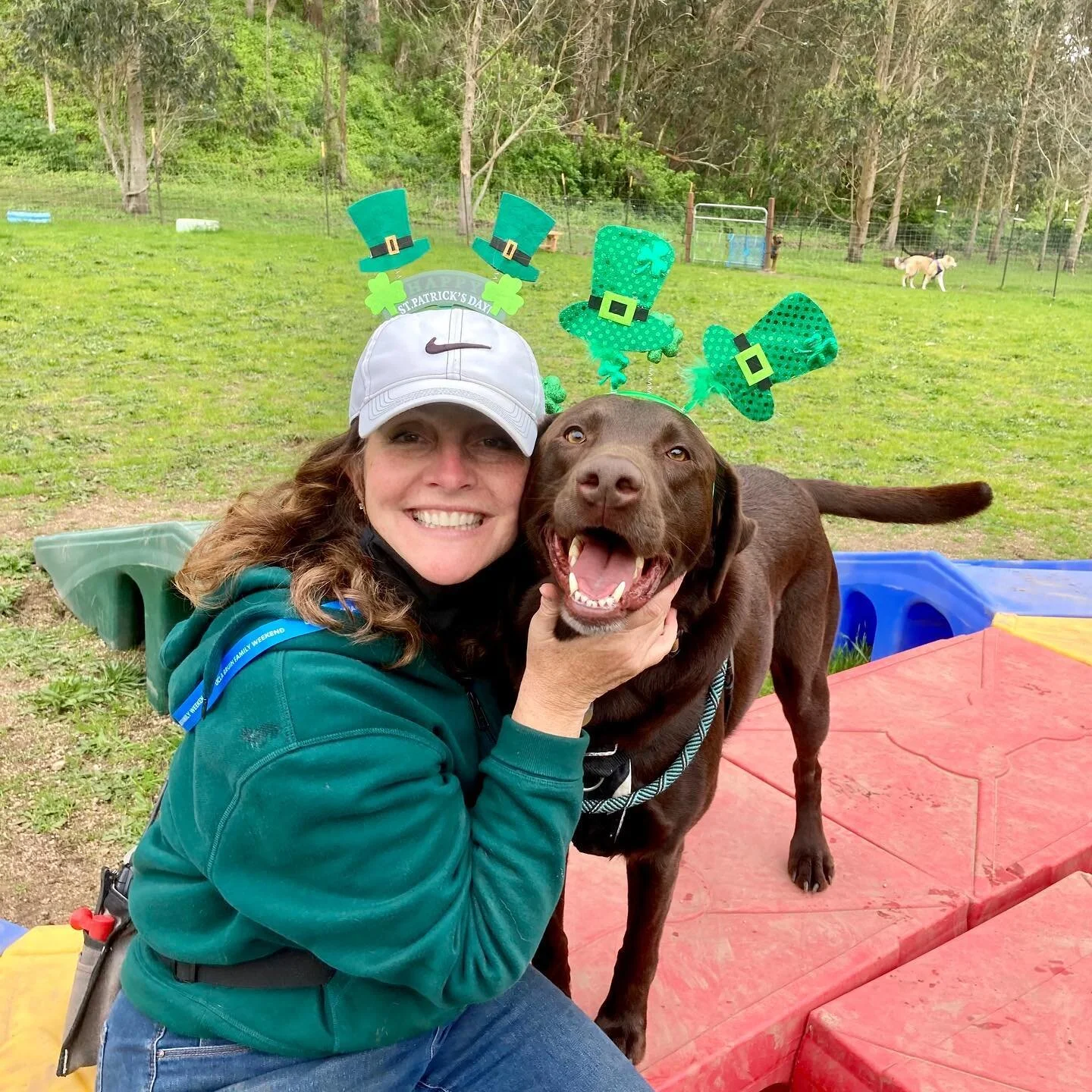 Vicki's Little Rascals - Doggy Day Care