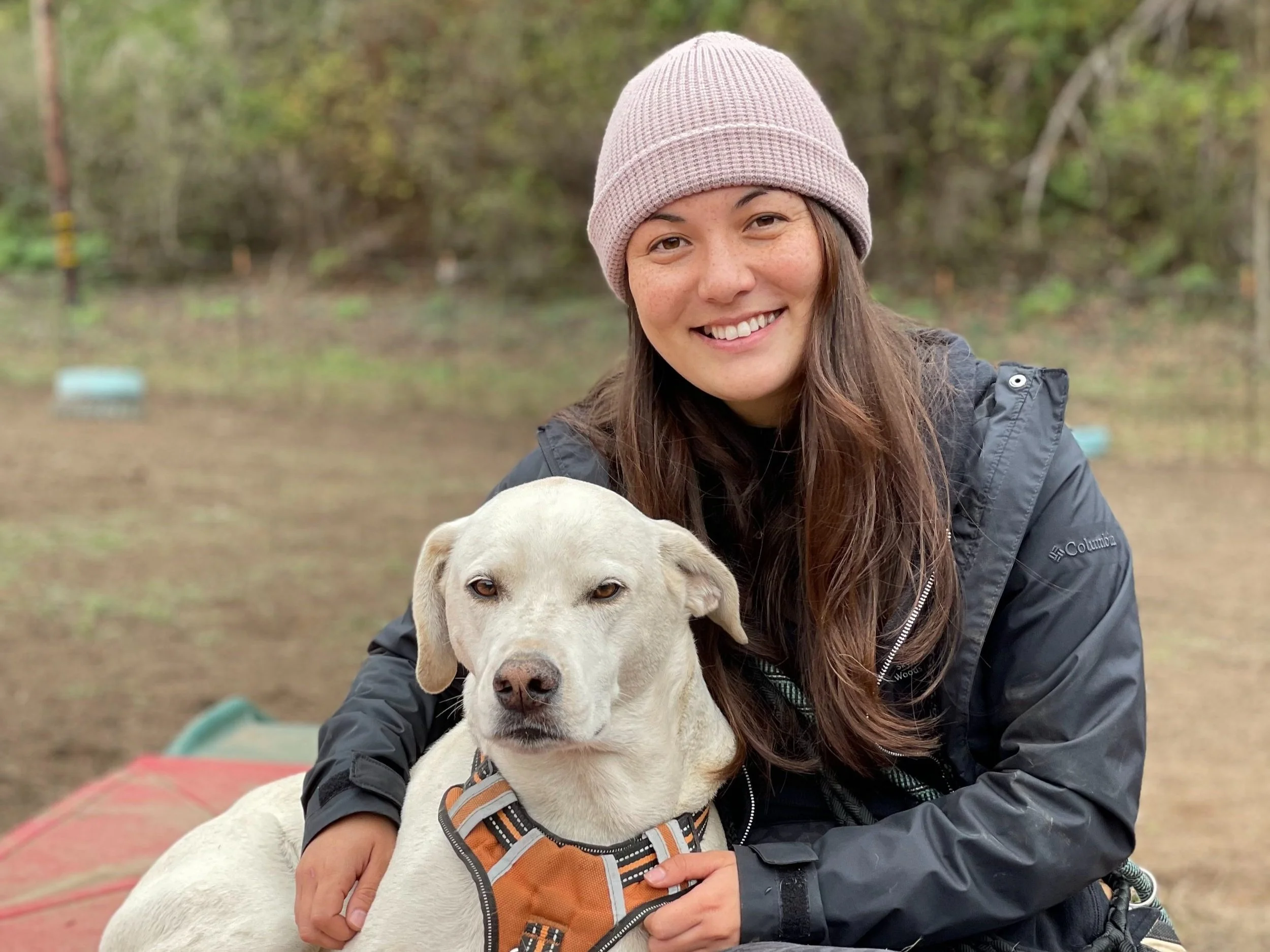 Our Team of Professional Pet Lovers — Vicki's Little Rascals