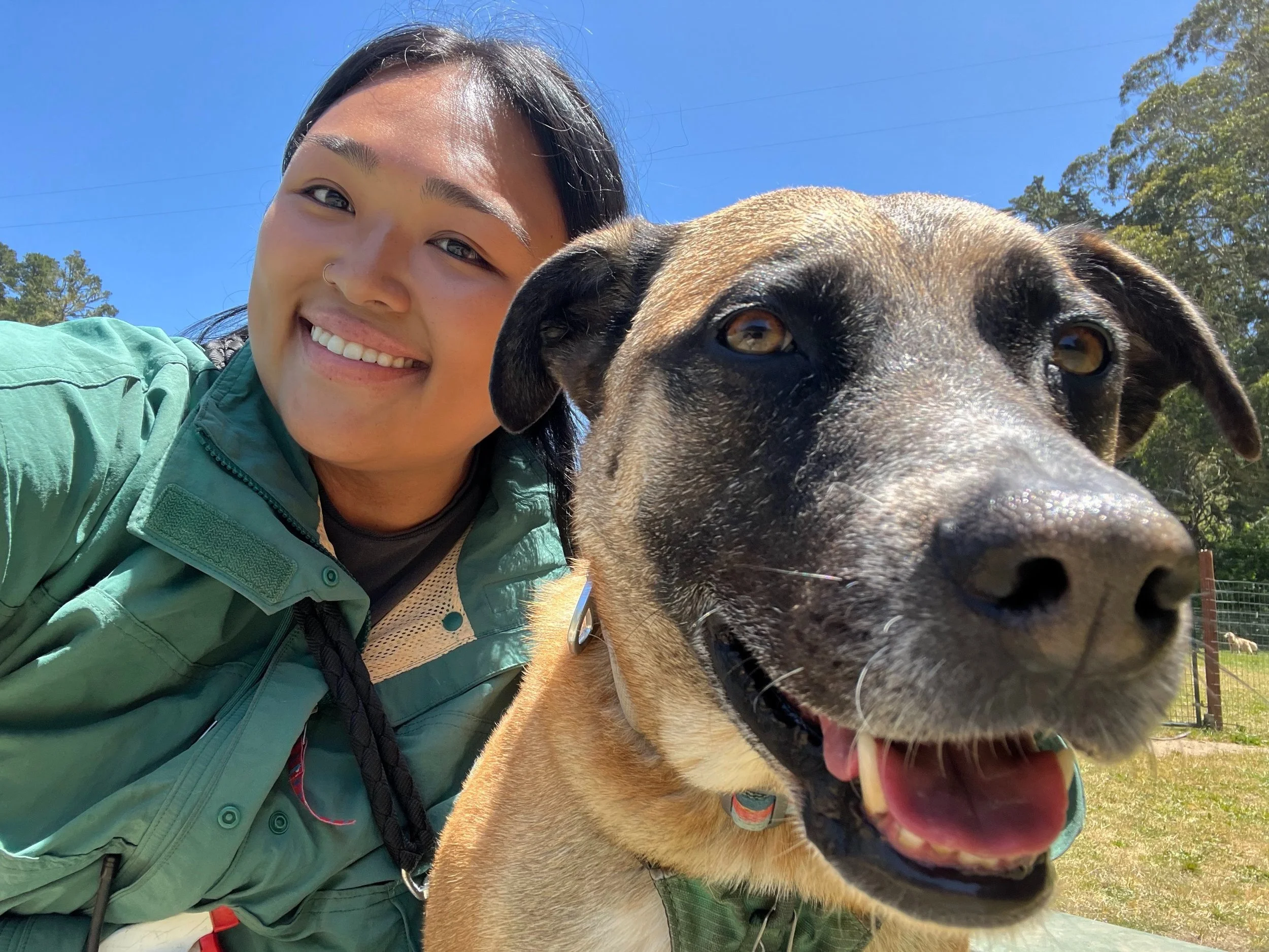 Our Team of Professional Pet Lovers — Vicki's Little Rascals - Doggy ...