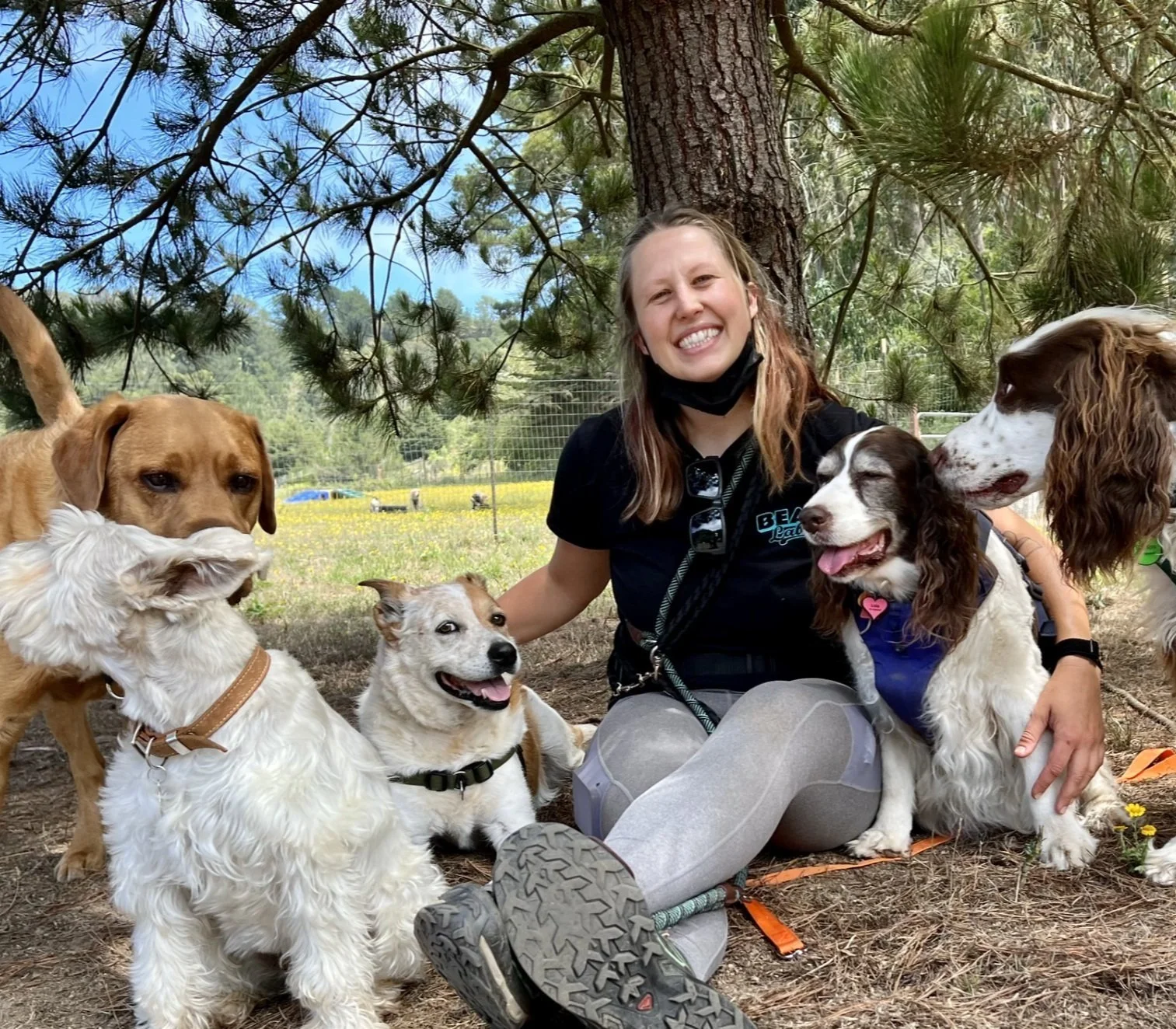Our Team of Professional Pet Lovers — Vicki's Little Rascals