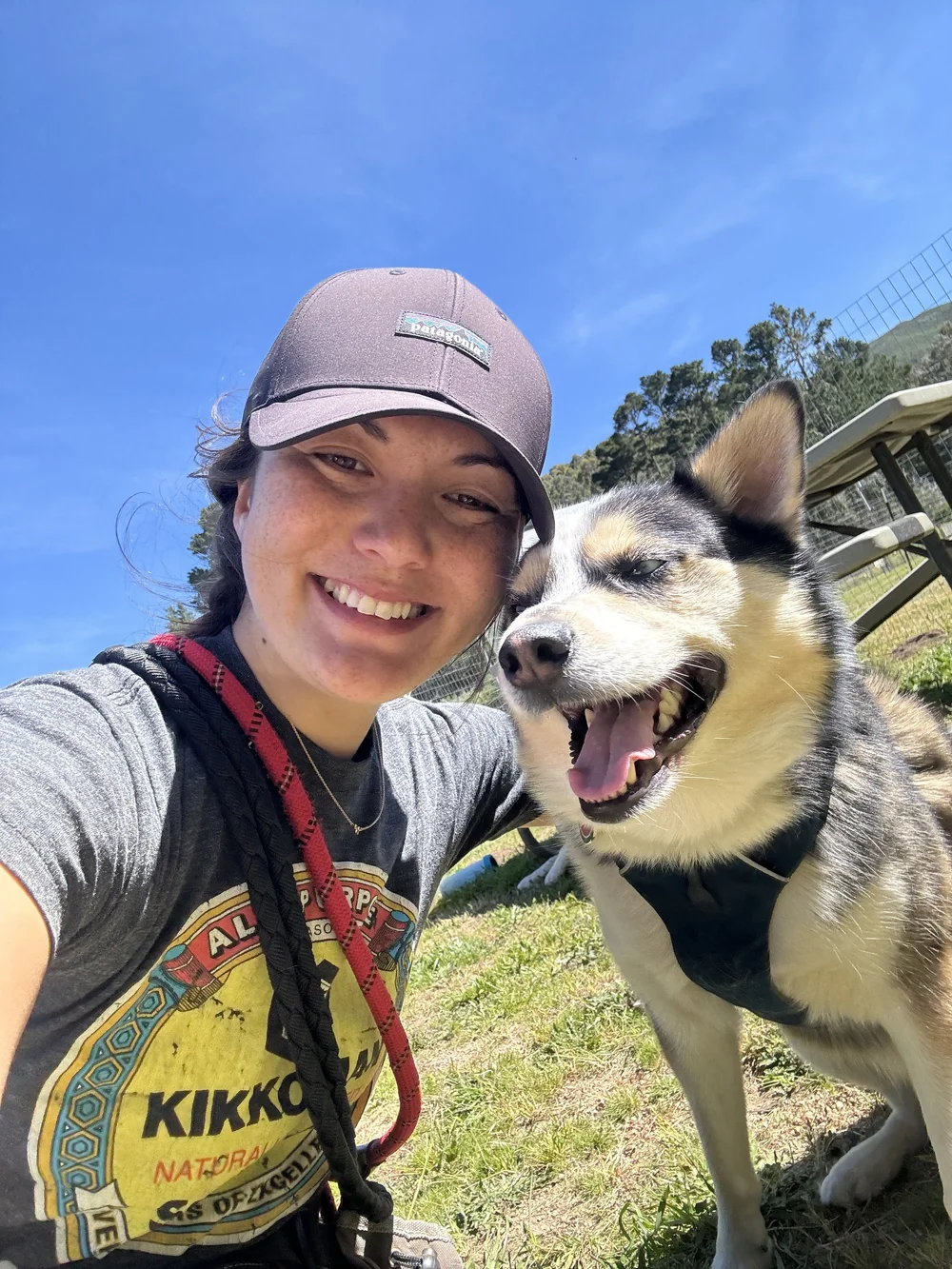 Our Team of Professional Pet Lovers — Vicki's Little Rascals - Doggy ...