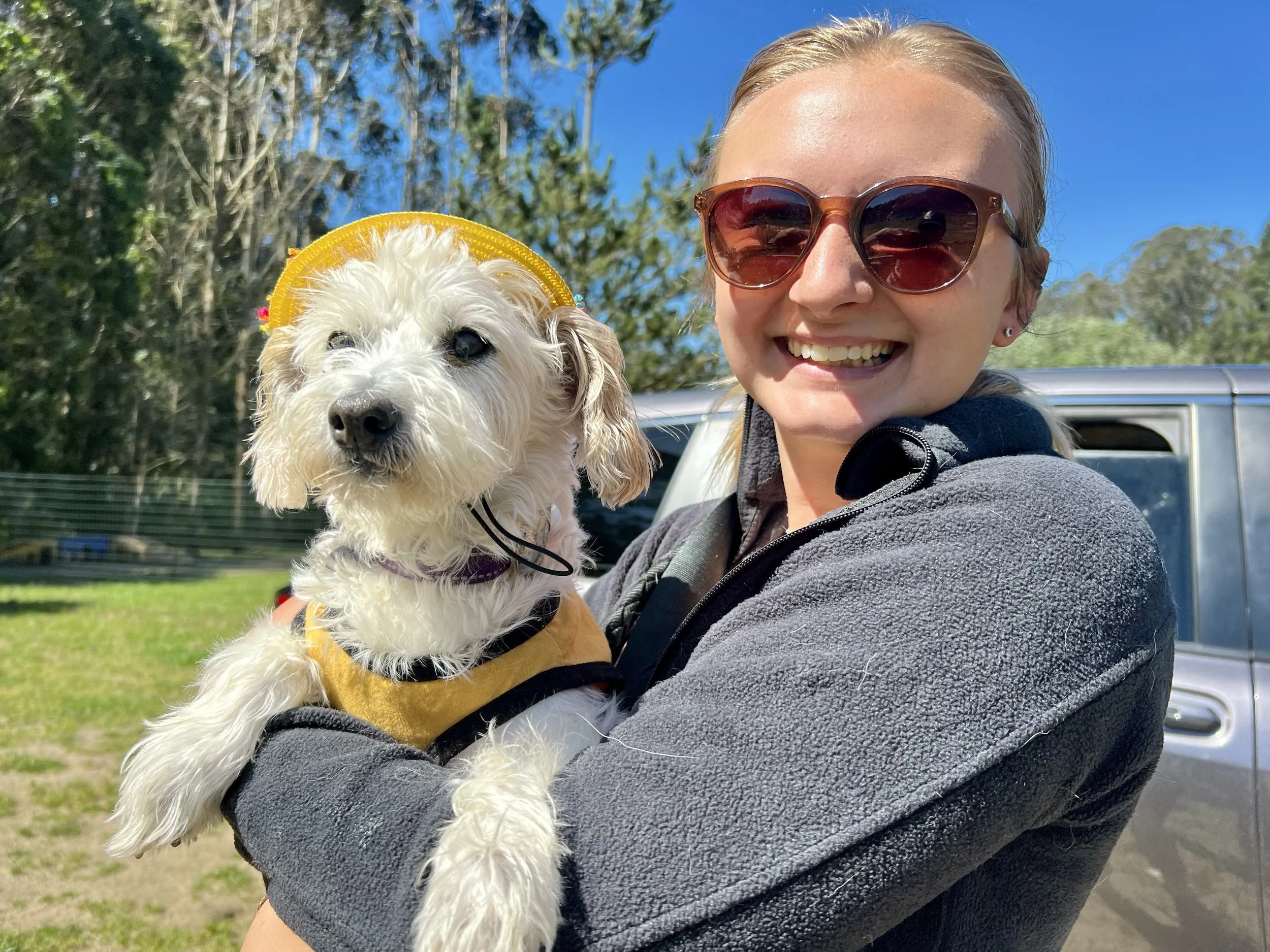 Our Team of Professional Pet Lovers — Vicki's Little Rascals - Doggy ...