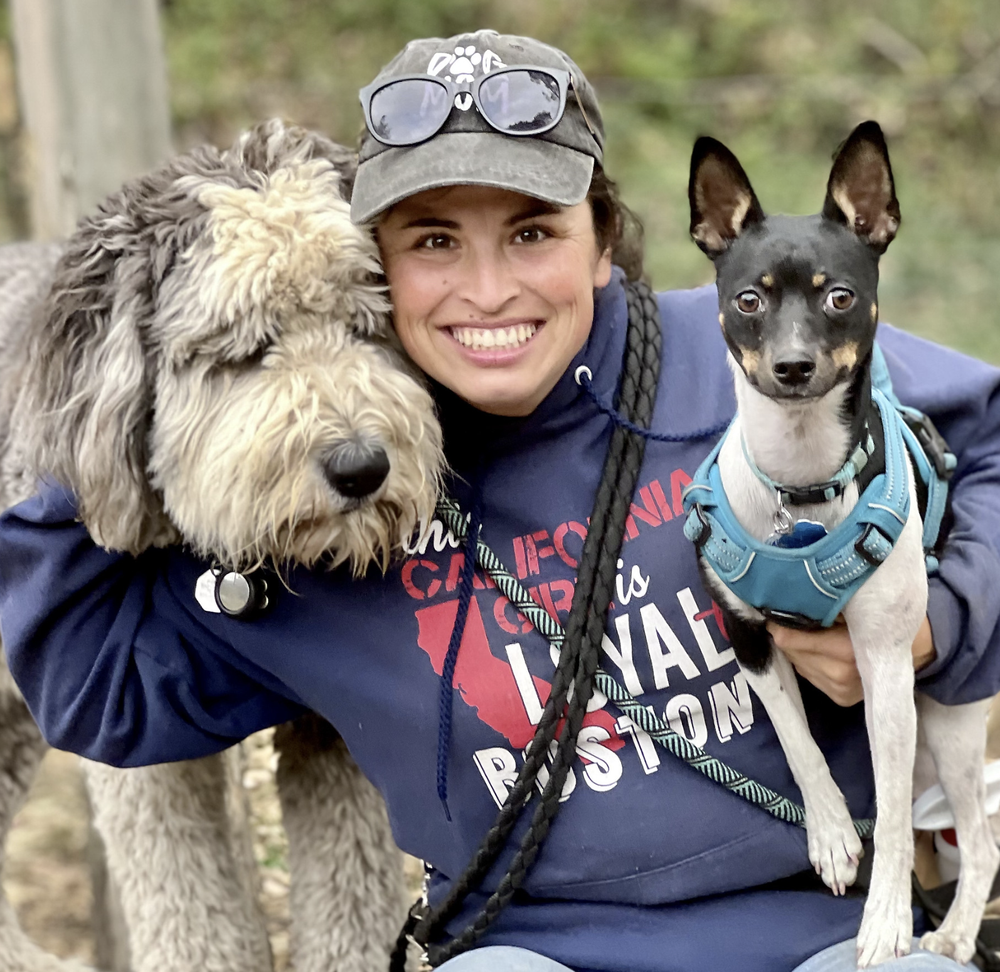 Our Team of Professional Pet Lovers — Vicki's Little Rascals - Doggy ...